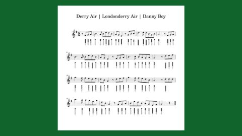 Derry Air | Londonderry Air | Danny Boy | My Low D Whistle Journey