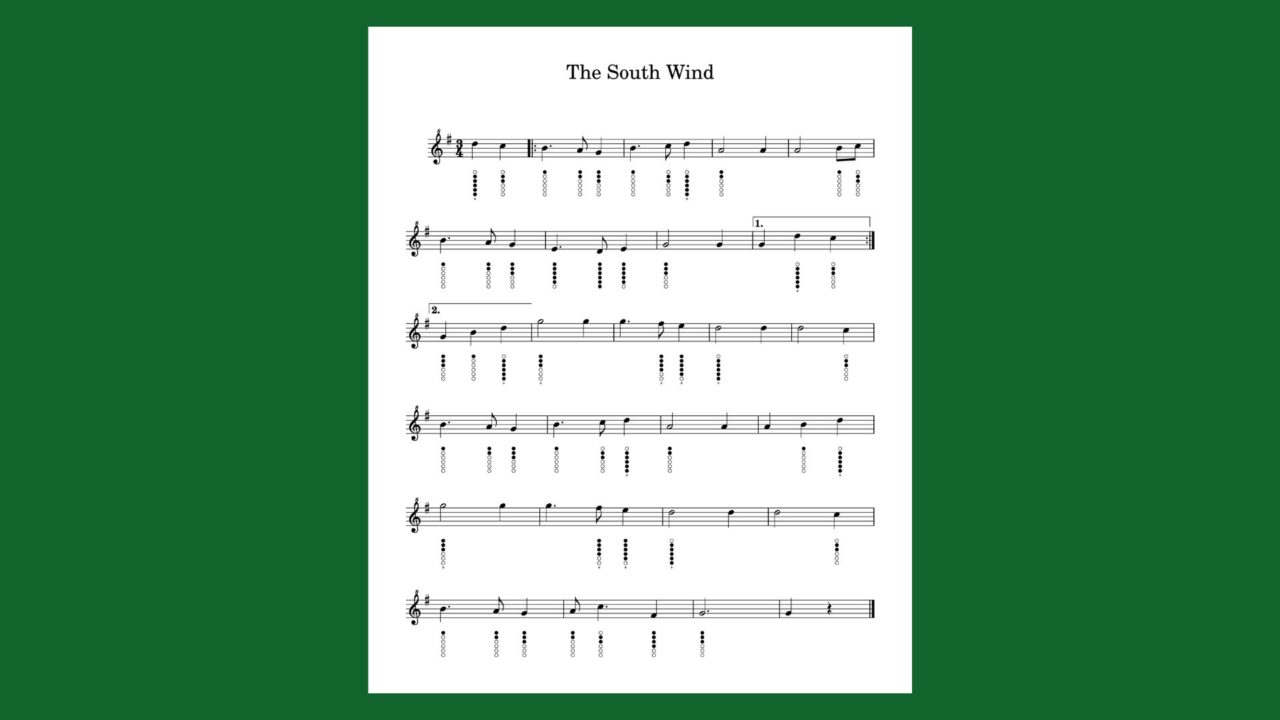 Learning The South Wind | My Low D Whistle Journey