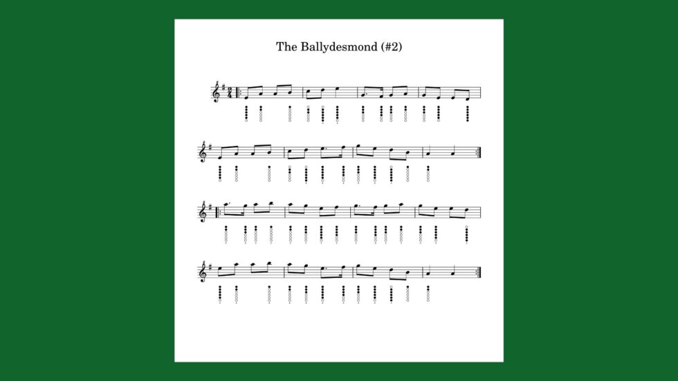 The Ballydesmond Polka (Number Two) | My Low D Whistle Journey